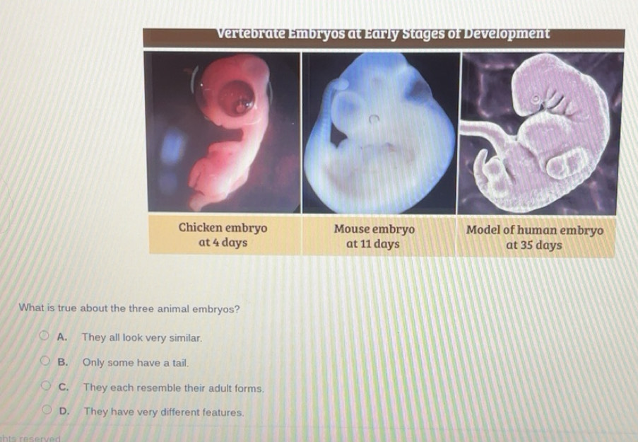 Solved: What is true about the three animal embryos? A. They all look ...