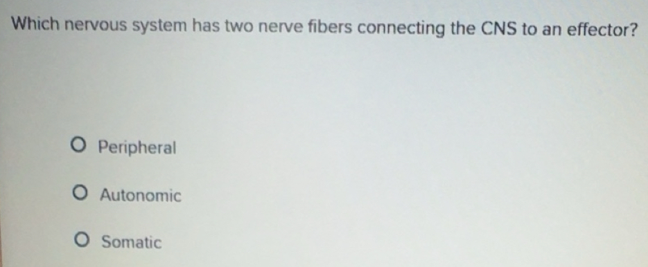 Solved: Which nervous system has two nerve fibers connecting the CNS to ...