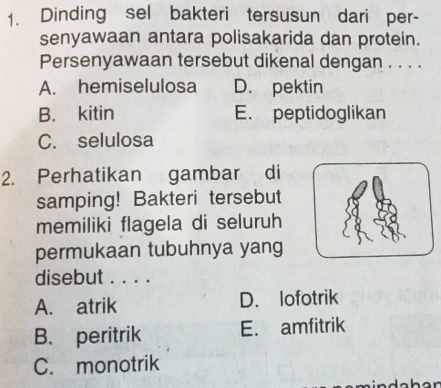 Telah dijawab:Dinding sel bakteri tersusun dari per- senyawaan antara ...
