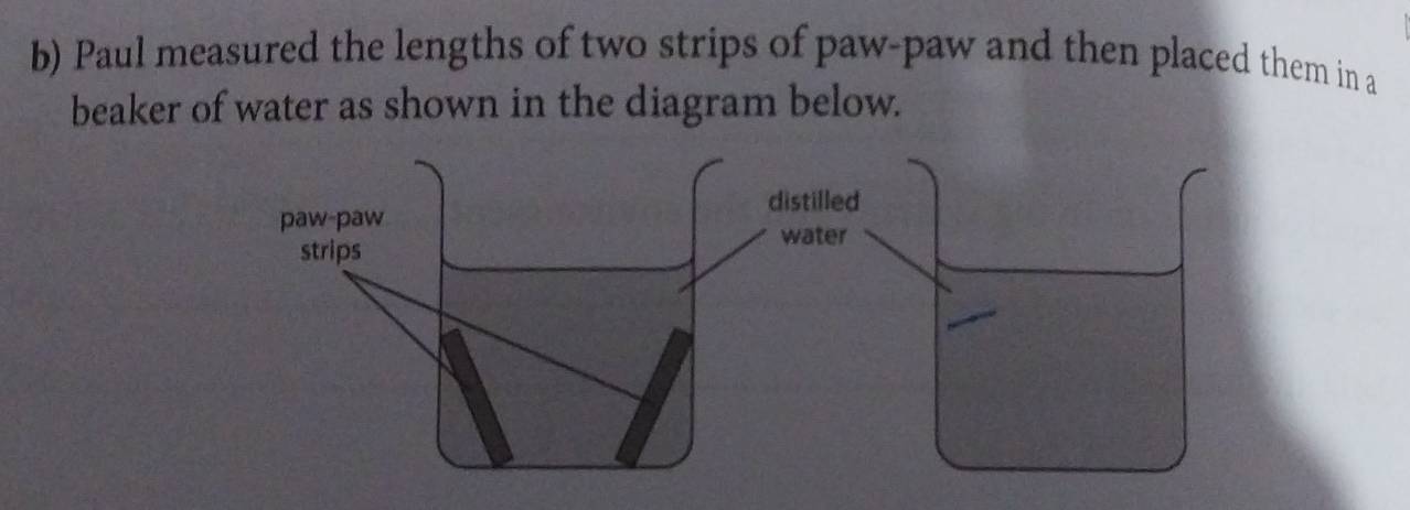 Solved: Paul measured the lengths of two strips of paw-paw and then ...