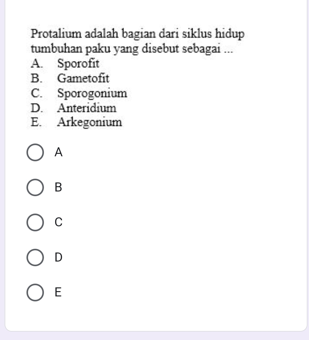 Telah dijawab:Protalium adalah bagian dari siklus hidup tumbuhan paku ...