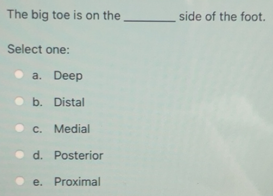 Solved: The big toe is on the _side of the foot. Select one: a. Deep b ...