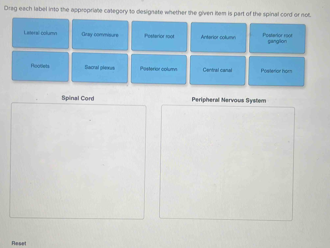 Solved: Drag each label into the appropriate category to designate ...