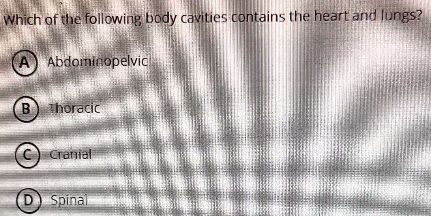Solved: Which of the following body cavities contains the heart and ...