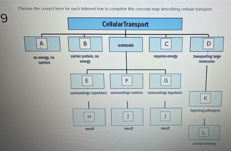 Solved: Choose the correct term for each lettered box to complete this ...