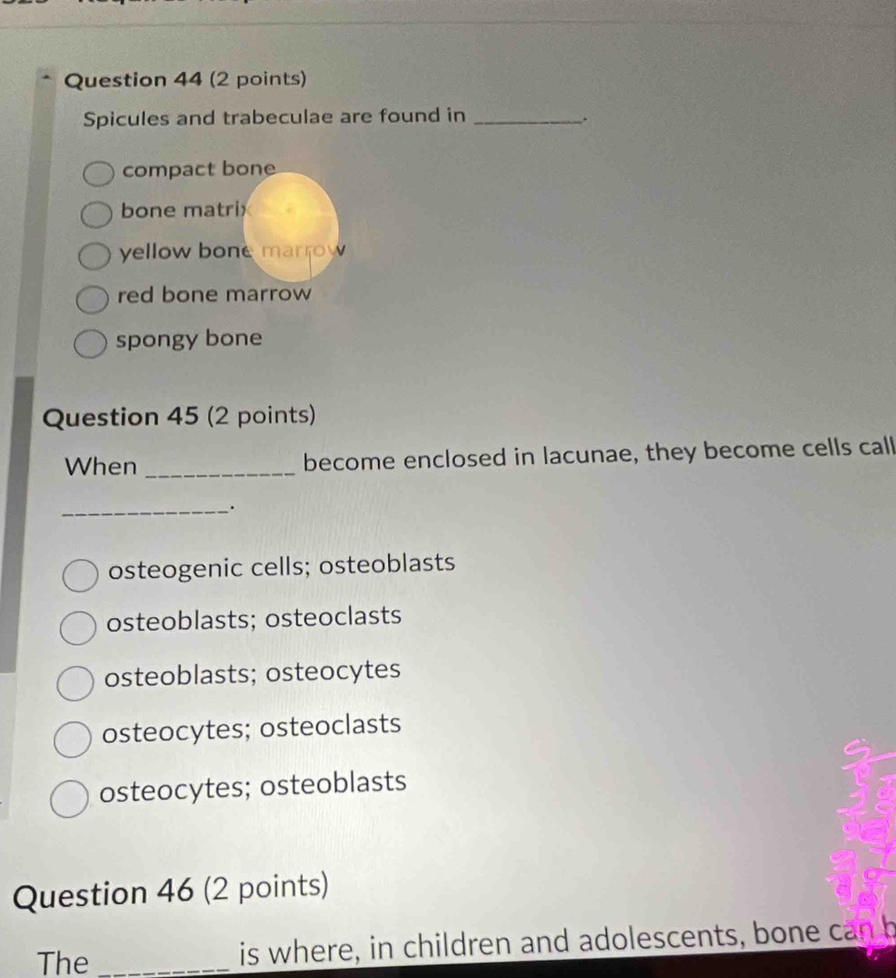 Solved: Spicules and trabeculae are found in_ . compact bone bone matri ...