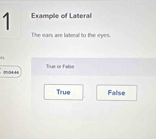 Solved: Example of Lateral The ears are lateral to the eyes. ts True or ...