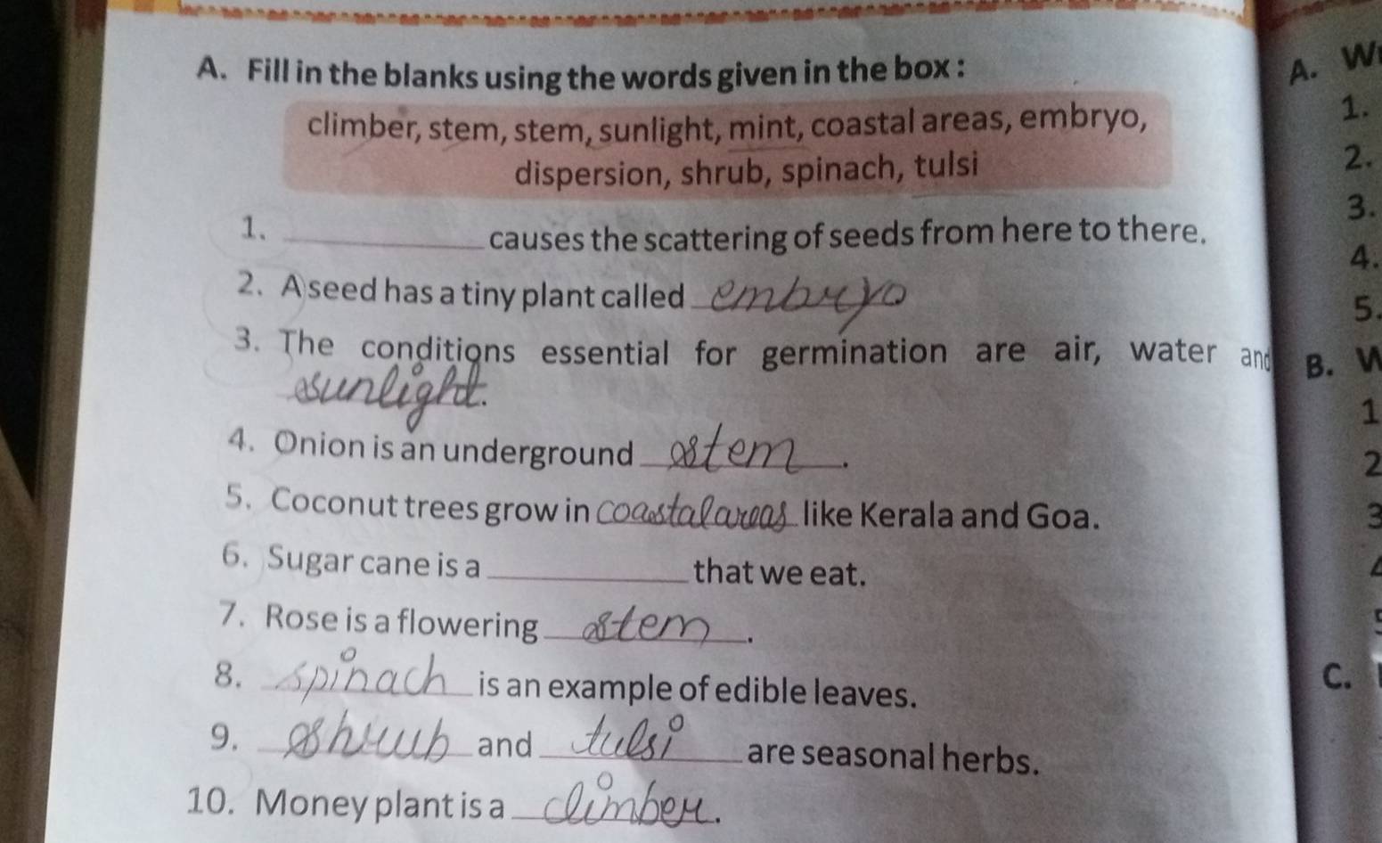 Solved: Fill in the blanks using the words given in the box : A. W climber, stem, stem, sunlight ...