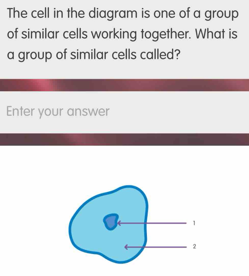 Solved: The cell in the diagram is one of a group of similar cells ...