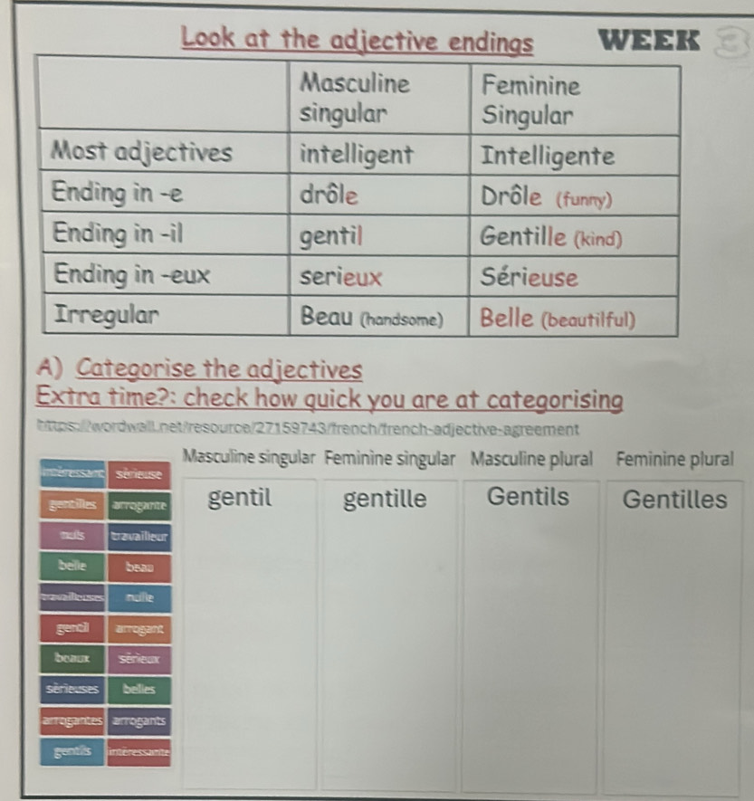 Solved: Look at the adjective endings WEEK C A) Categorise the ...