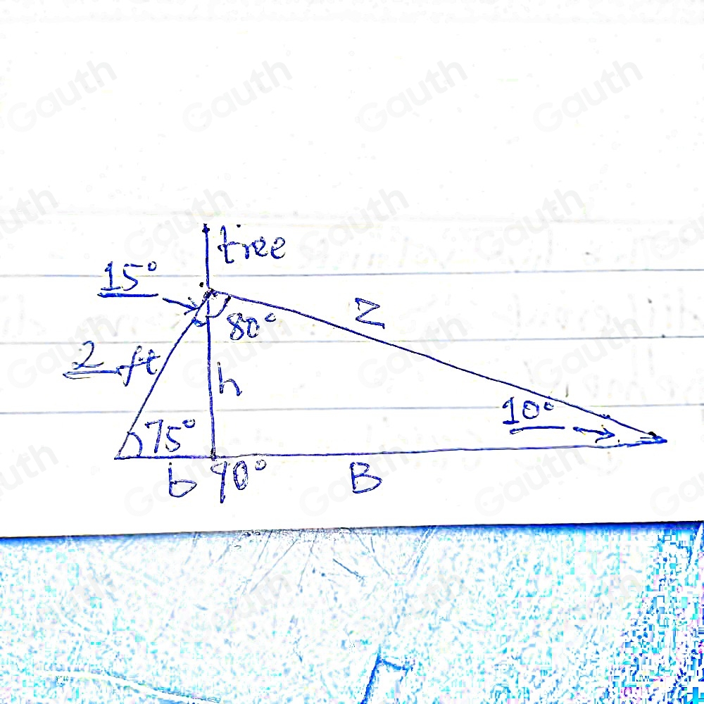 Solved: Complete the diagram by identifying the missing angles. Use the ...