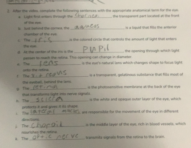 Solved: After the video, complete the following sentences with the ...