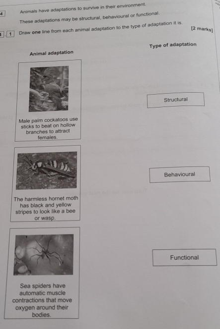 Solved: Animals have adaptations to survive in their environment. These ...