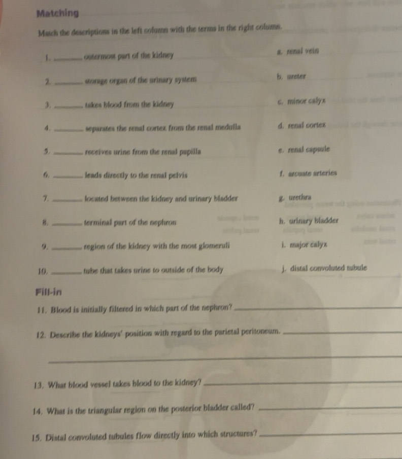 Solved: Matching Match the descriptions in the left column with the ...