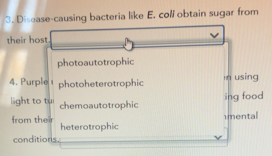 Solved: Disease-causing bacteria like E. coli obtain sugar from their ...