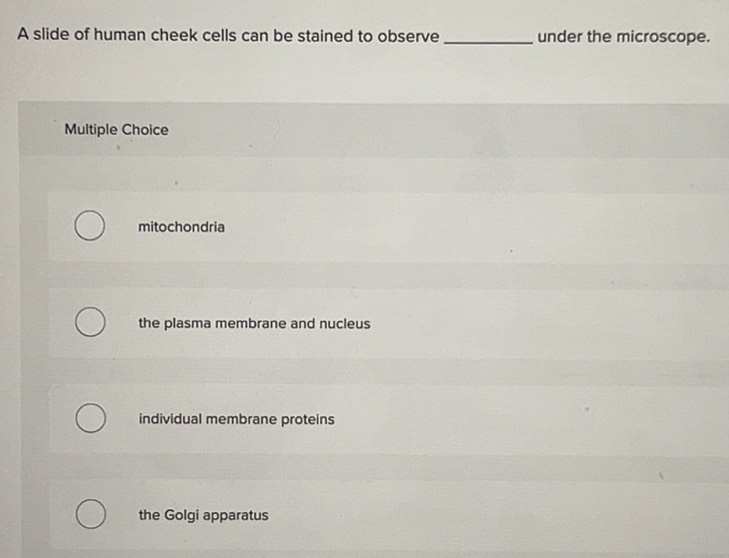Solved: A slide of human cheek cells can be stained to observe _under ...