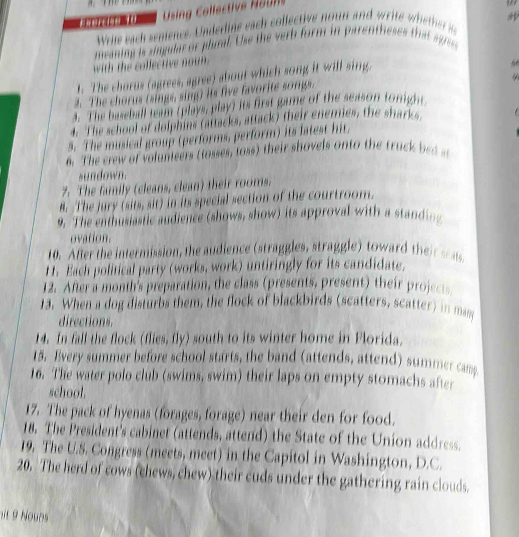 Solved: Using Collective No n Wrie each senience. Underline each ...
