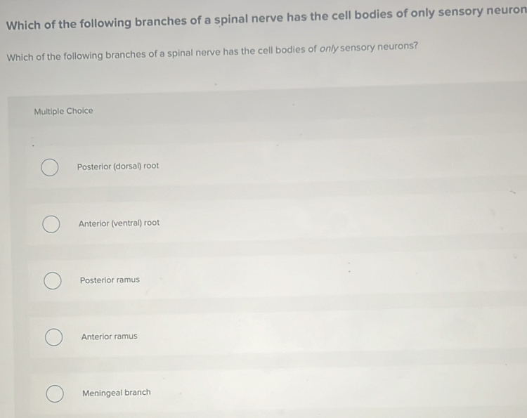 Solved: Which of the following branches of a spinal nerve has the cell ...