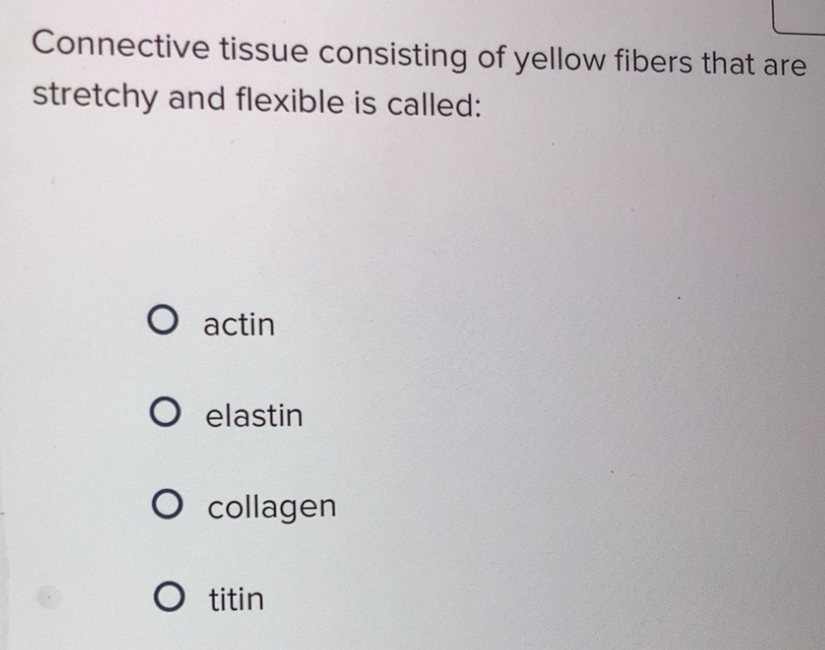 Solved: Connective tissue consisting of yellow fibers that are stretchy ...