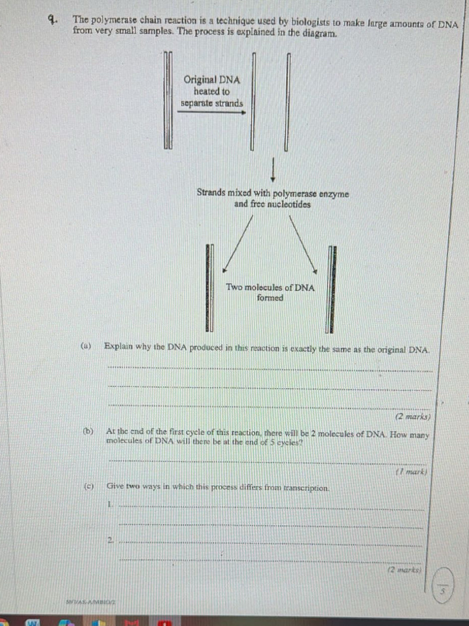 Solved: The polymerase chain reaction is a technique used by biologists ...