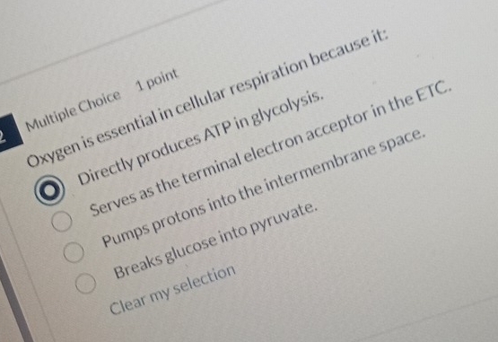 Solved: Oxygen is essential in cellular respiration because it Directly ...