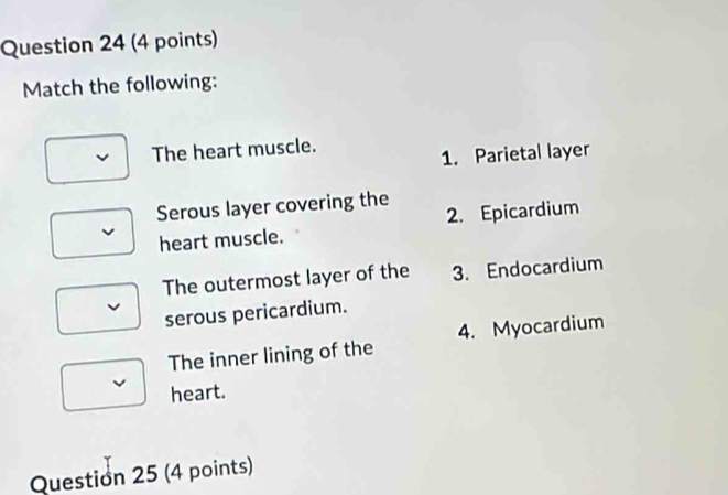 Solved: Match the following: The heart muscle. 1. Parietal layer Serous layer covering the heart ...