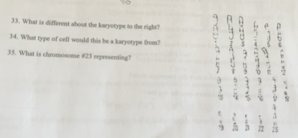 Solved: What is different about the karyotype to the right? a 34. What ...