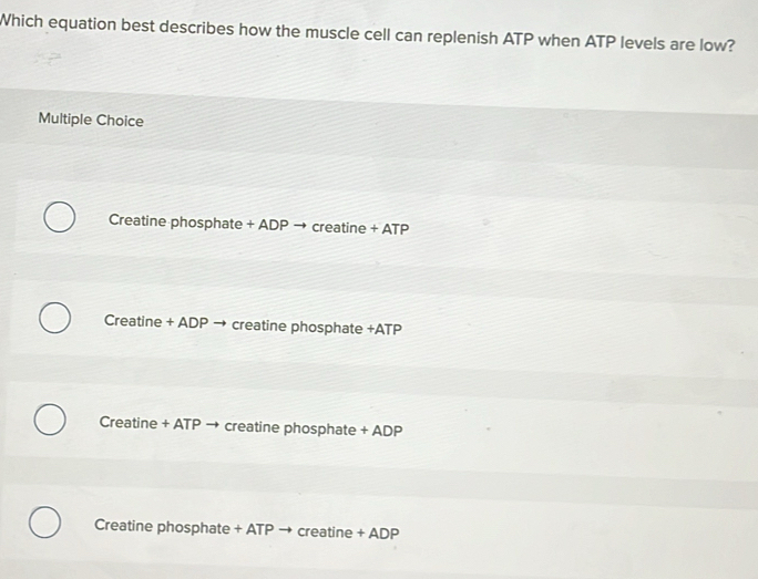 Solved: Which equation best describes how the muscle cell can replenish ATP when ATP levels are ...