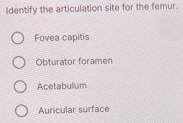 Solved: Identify the articulation site for the femur. Fovea capitis Obturator foramen Acetabulum ...