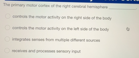 Solved: The primary motor cortex of the right cerebral hemisphere ...