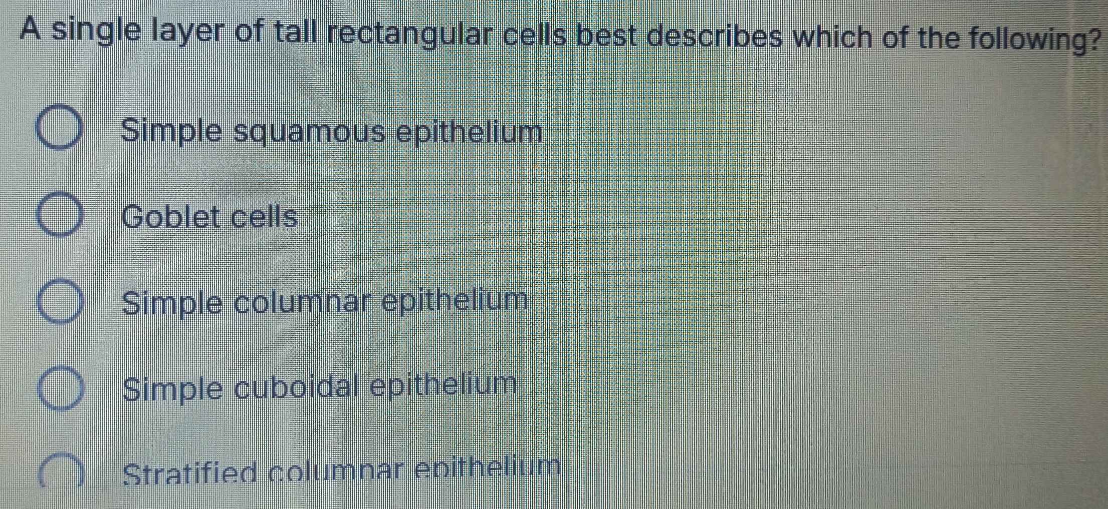 Solved: A single layer of tall rectangular cells best describes which of the following? Simple ...