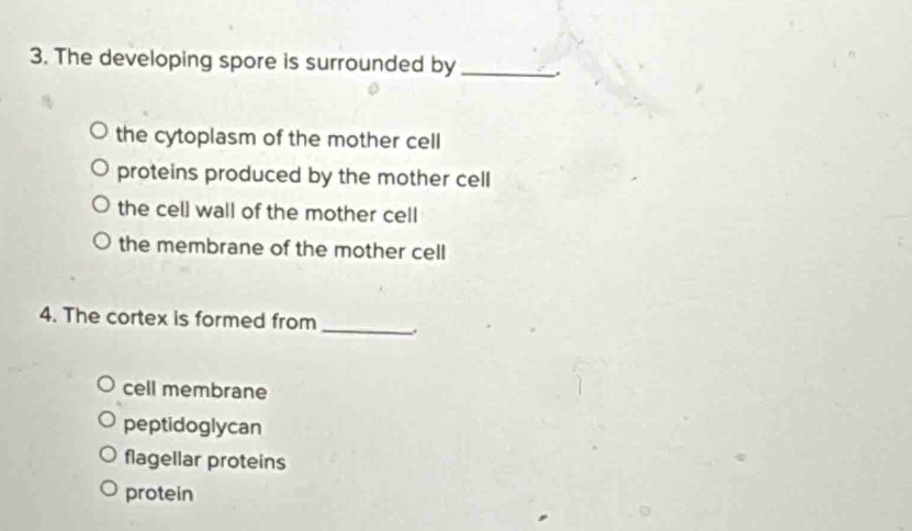 Solved: The developing spore is surrounded by_ the cytoplasm of the ...