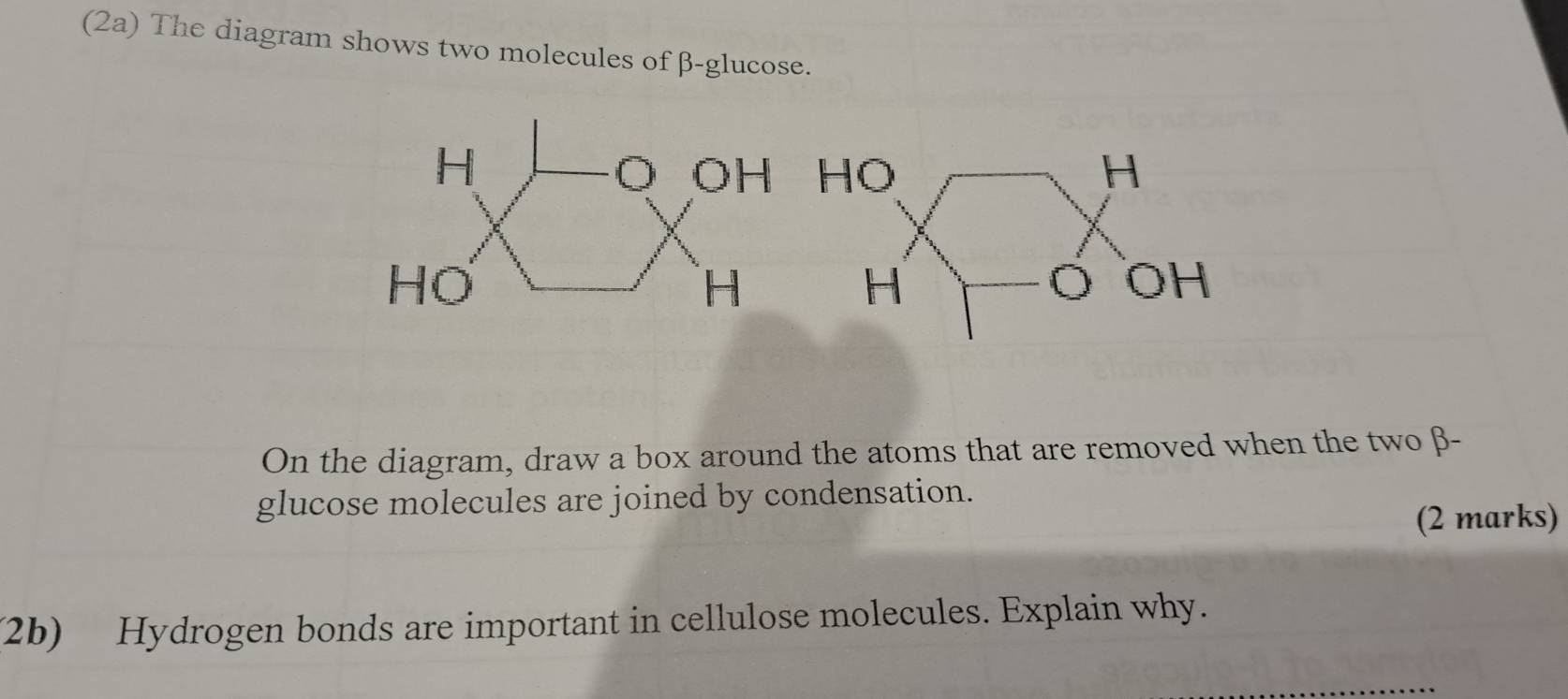 Solved: (2a) The diagram shows two molecules of β -glucose. On the ...