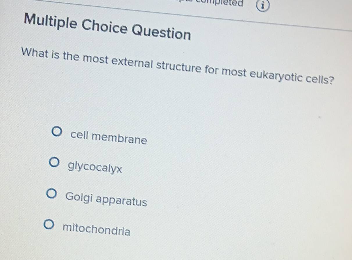 Solved: Question What is the most external structure for most ...
