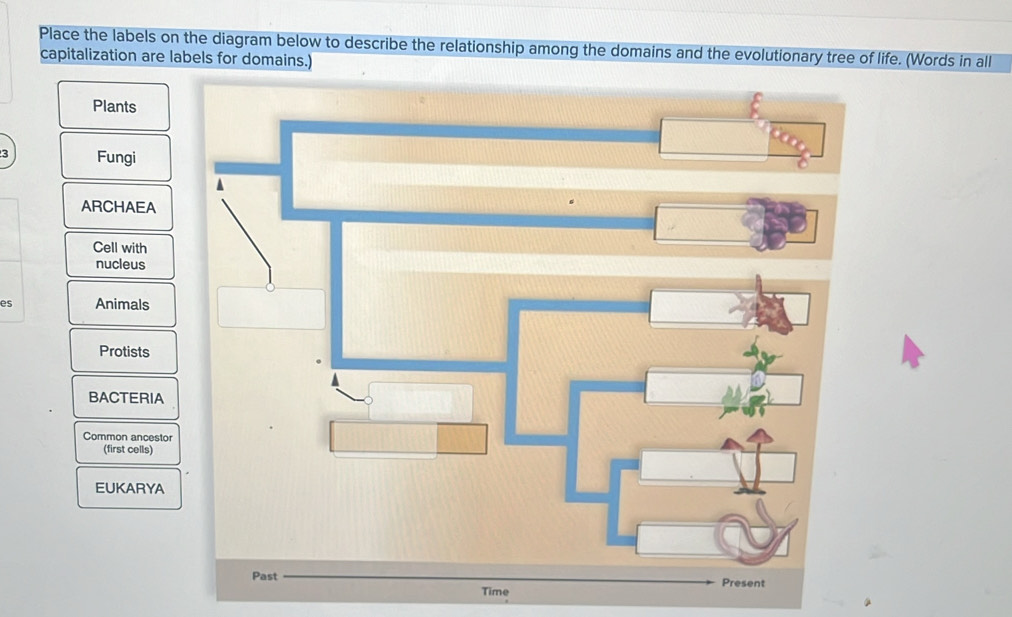 Solved: Place the labels on the diagram below to describe the ...