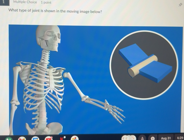 Solved: What type of joint is shown in the moving image below? Aug 31 6 ...