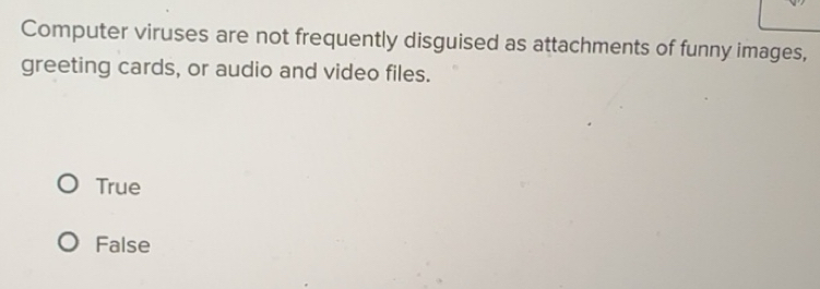 Solved: Computer viruses are not frequently disguised as attachments of ...