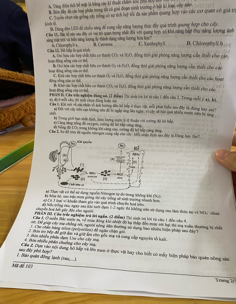 Giải quyết:A. Tăng diện tích bề mặt lá bằng các kĩ thuật chẩm sốc phu ...