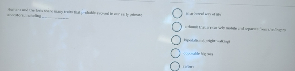 Solved: Humans and the loris share many traits that probably evolved in ...