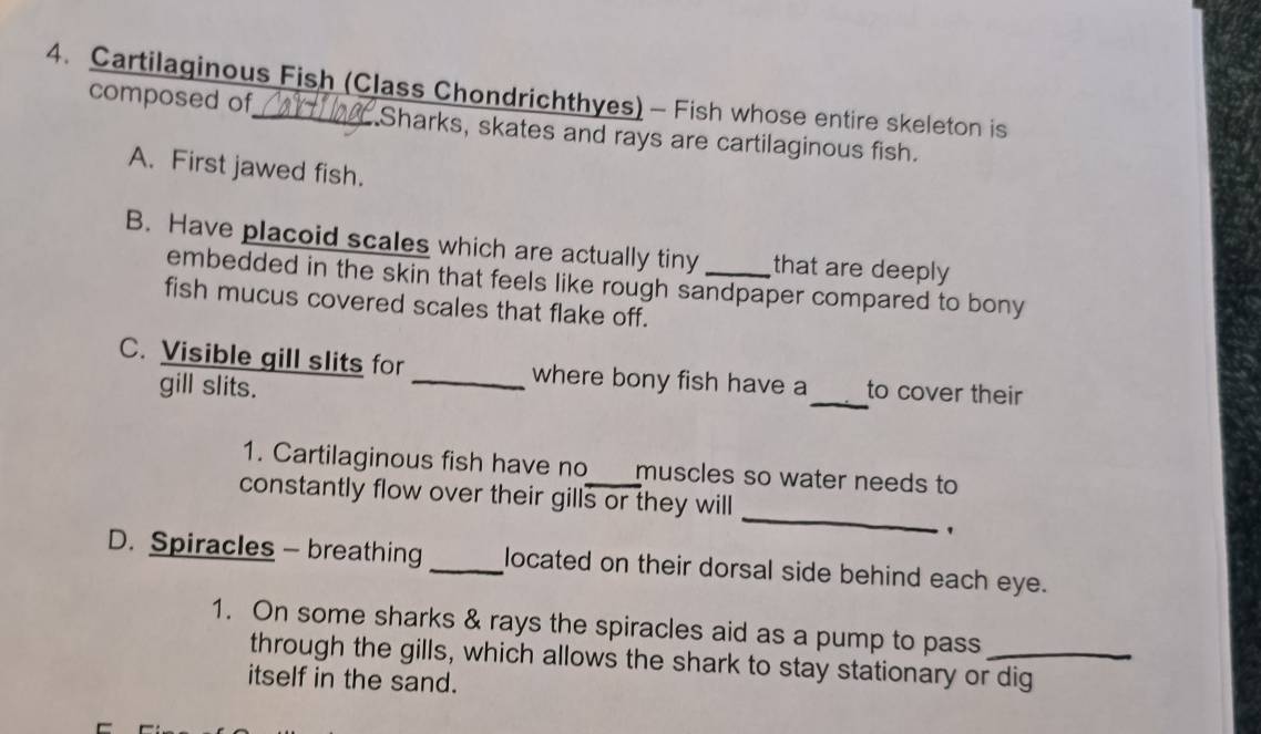 Solved: Cartilaginous Fish (Class Chondrichthyes) - Fish whose entire ...