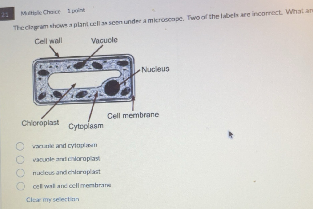 Solved: The diagram shows a plant cell as seen under a microscope. Two ...