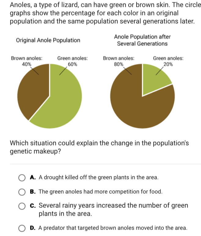 Solved: Anoles, a type of lizard, can have green or brown skin. The ...