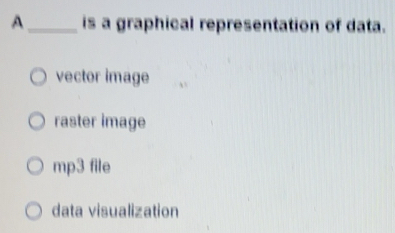 Solved: A _is a graphical representation of data. vector image raster ...