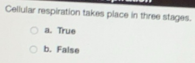 Solved: Cellular respiration takes place in three stages. a. True b ...