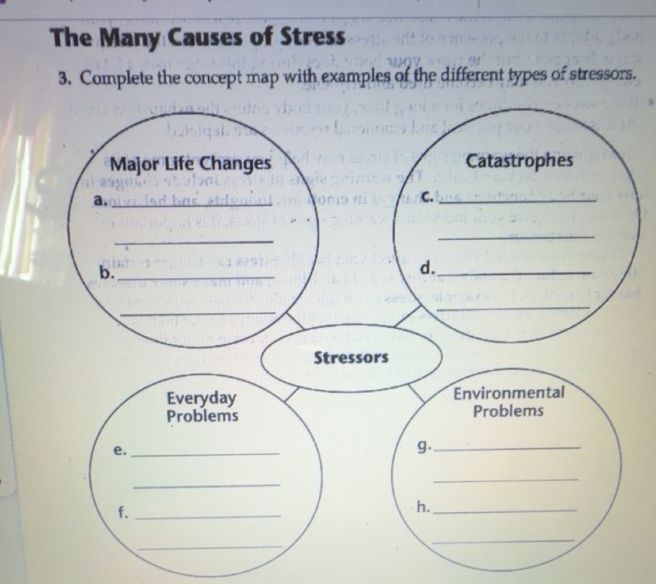 Gelöst:The Many Causes of Stress 3. Complete the concept map with ...