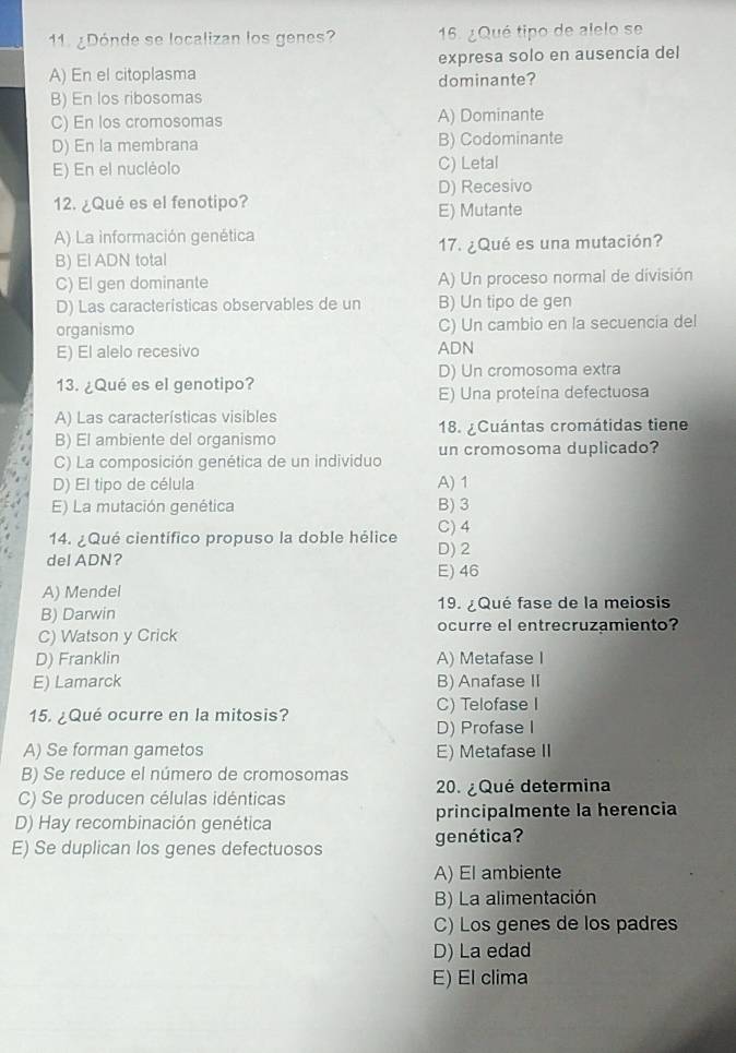 Resuelto:¿Dónde se localizan los genes? 16. ¿Qué tipo de alelo se A) En ...