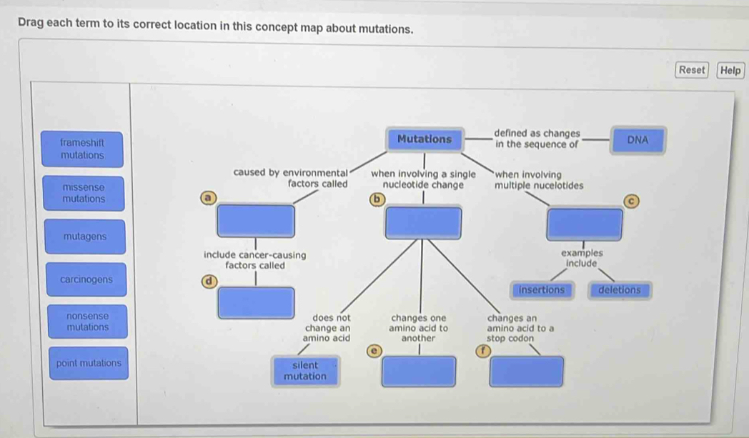 Solved Drag Each Term To Its Correct Location In This Concept Map