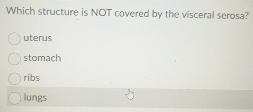 Solved: Which structure is NOT covered by the visceral serosa? uterus ...