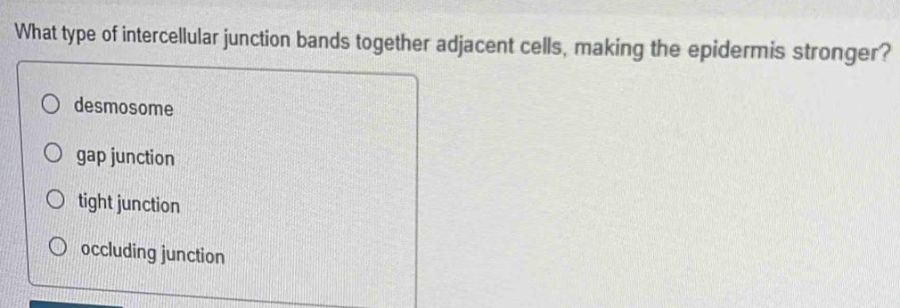 Solved: What type of intercellular junction bands together adjacent ...