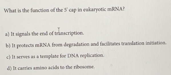 Solved: What is the function of the 5' cap in eukaryotic mRNA? a) It ...